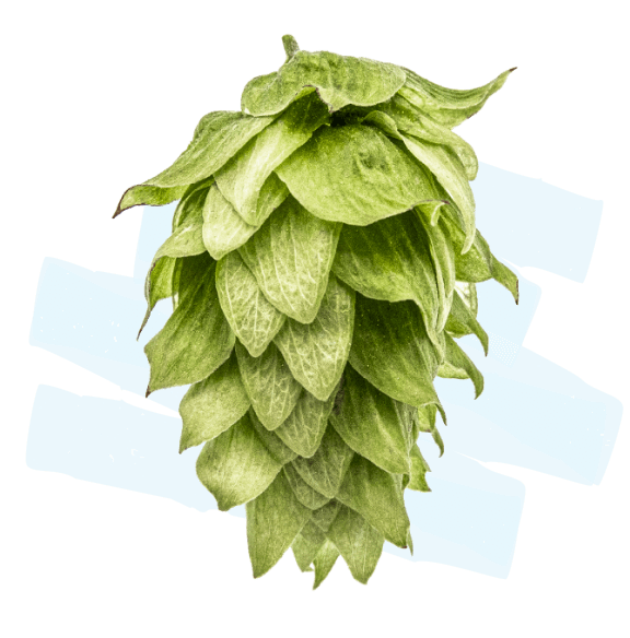 Yakima Chief Hops Case Study | ShipperHQ